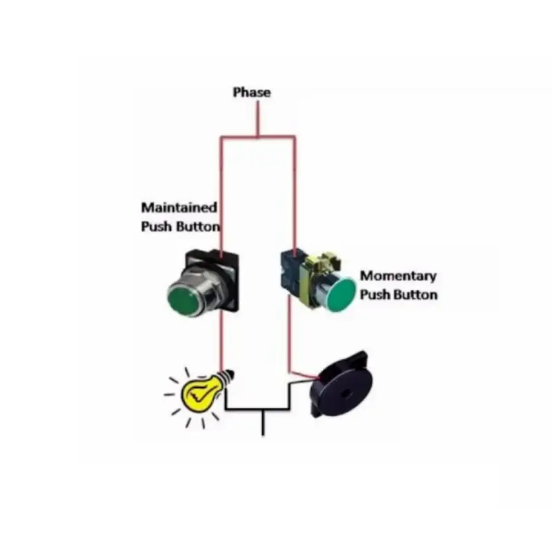 Momentary vs Maintained Push Button: What are Differences - Leading ...
